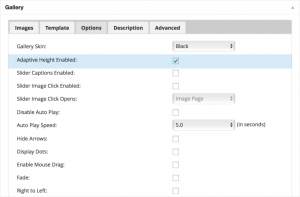 Slick Slider WordPress | WordPress Gallery Plugin