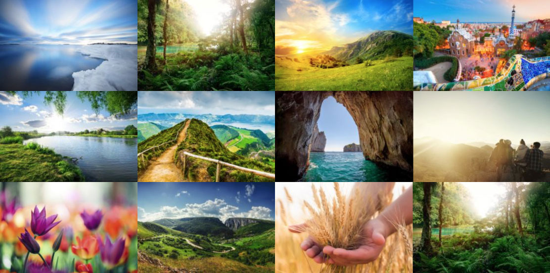 Full Width Grid | WordPress Gallery Plugin