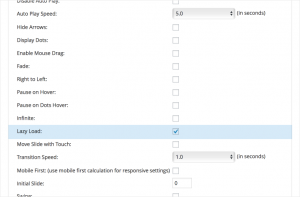 Slick Slider WordPress | WordPress Gallery Plugin