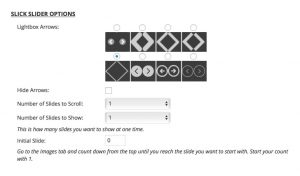 Slick Slider WordPress | WordPress Gallery Plugin